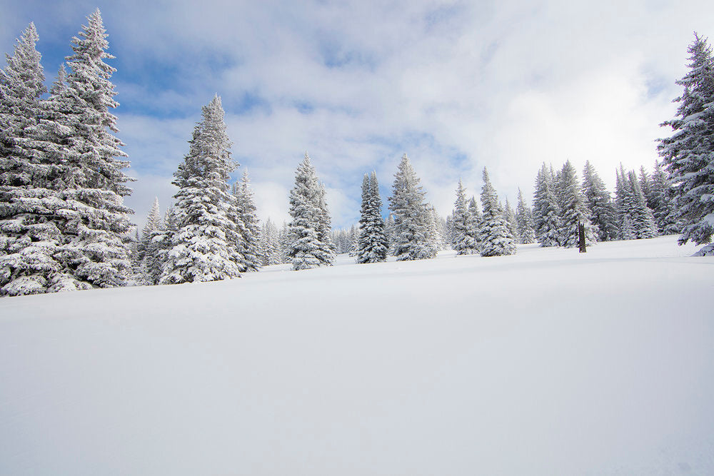 Vail Photos | Photos of Vail | Buy Vail Photos